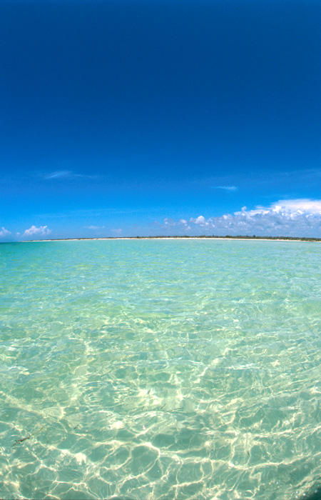 Nikon LS-2000 scanner | 1/500th of a Photographer's Life
